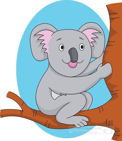 koala sitting on tree branch clipart - Classroom Clipart