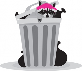 Classroom Clip Art - raccoon