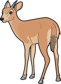 Mammal Clipart - Animal Clipart - Clipart - Classroom Clip Art
