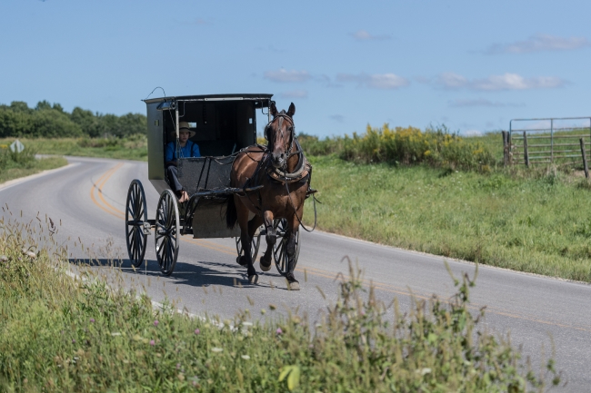Wisconsin Photos-amish-boy-in-an-old-fashioned-black-buggy