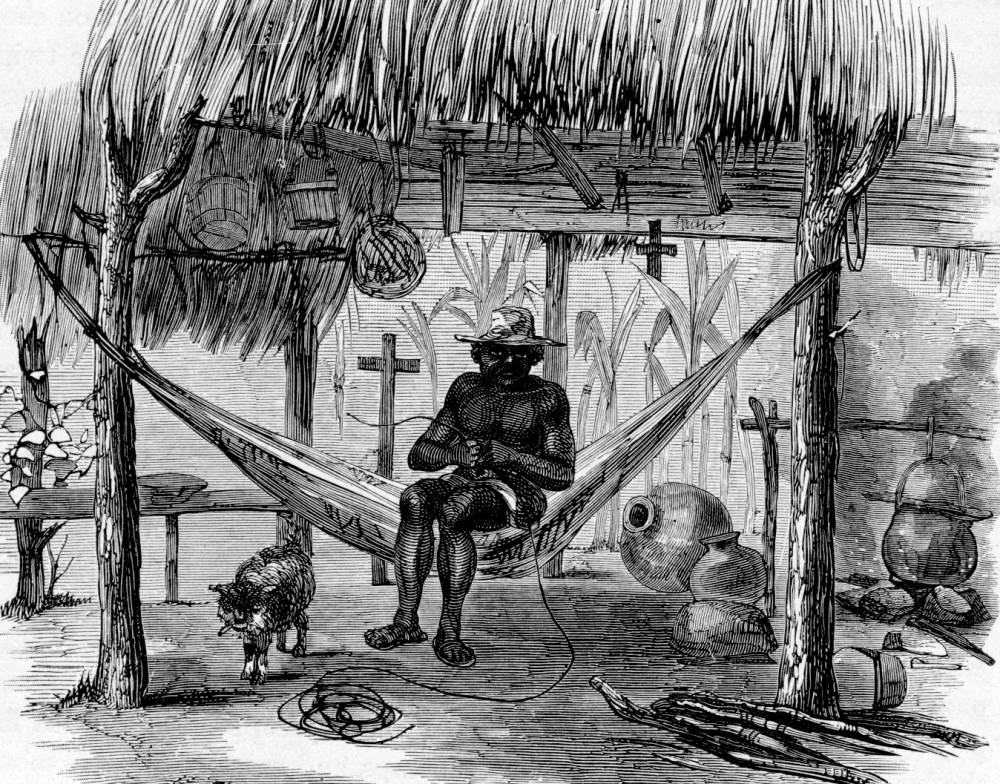 South America Illustrations - A Hermit at Home