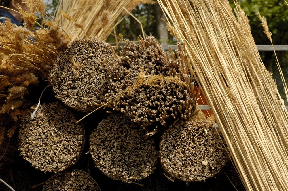 Bundles of natural reed and grass used to build thatched roofs ...