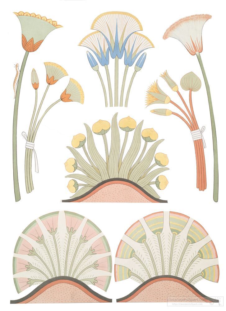 Egyptian papyrus plant and flowers - Classroom Clip Art