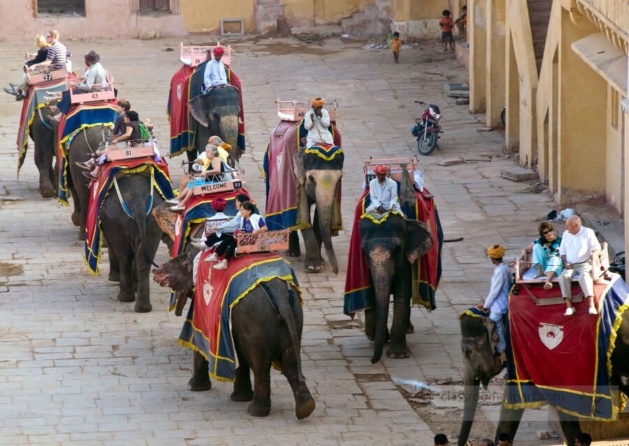 Elephants carries tourist - Classroom Clip Art