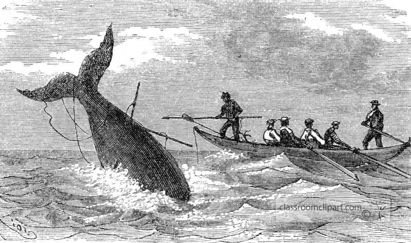 harpooning a whale illustration - Classroom Clip Art
