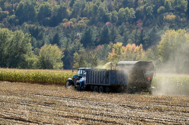 Harvesting fodder - Classroom Clip Art