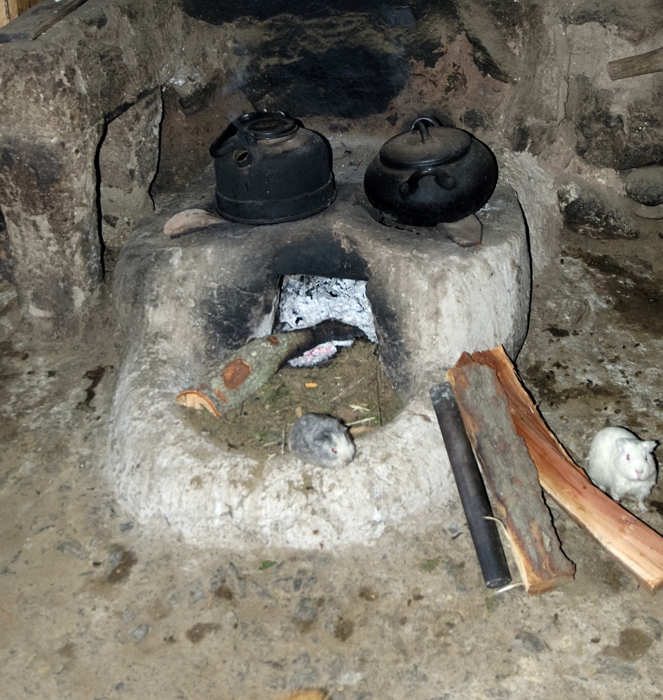 Interior of a rock and adobe style home in Ollantaytambo - Classroom ...