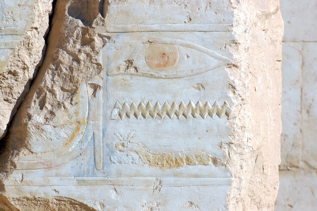 Painted Bas Relief Hieroglyphics Temple Of Queen Hatshepsut Luxor Egypt ...