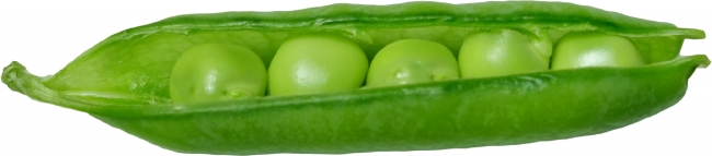 pea pod on transparent background - Classroom Clip Art
