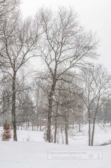 photo winter scene snow falling with trees in background - Classroom ...
