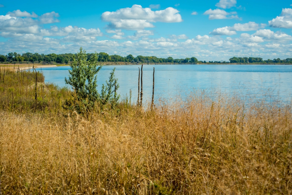 photo-native-grasses-along-banks-of-missouri-river-south-dakota ...