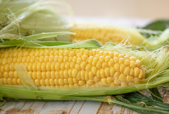 Vegetable Pictures-preparing fresh yellow corn to cook photo