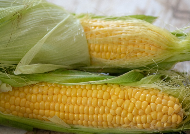 Vegetable Pictures-preparing fresh yellow corn to cook photo