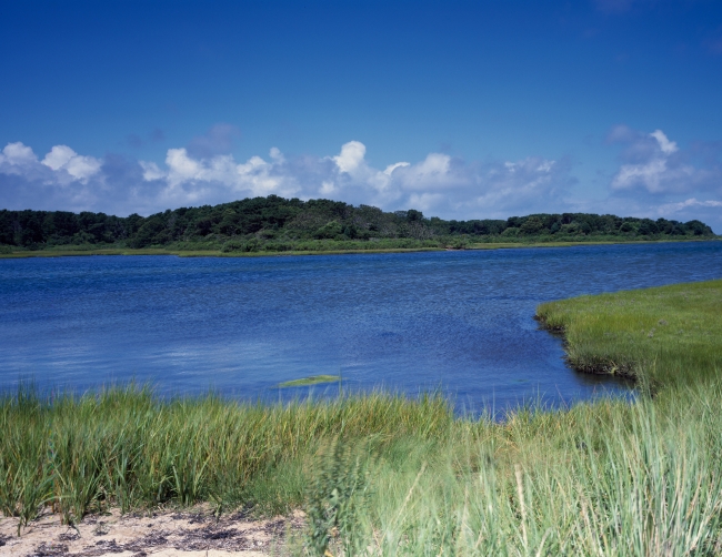 South Carolina Photos-salt marsh near beaufort south carolina