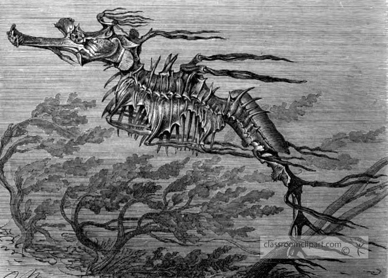 Ocean Animal Illustrations-sea horse bw animal illustration