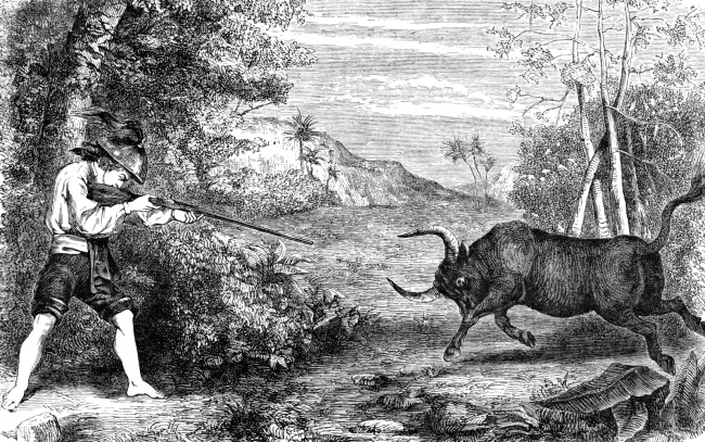 A Buffalo Yoke - Classroom Clip Art