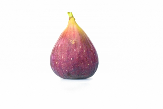 single fresh fig on white background photo - Classroom Clip Art