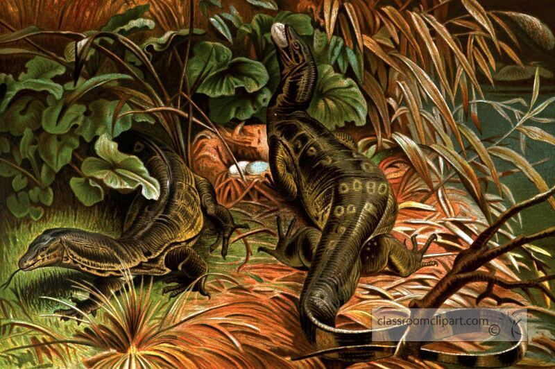 water monitor color historic illustration - Classroom Clip Art