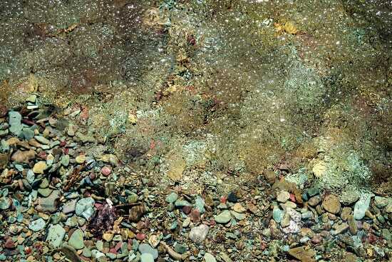 water pattern with pebbles closeup - Classroom Clip Art
