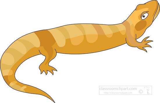 amphibian striped salamander clipart - Classroom Clip Art
