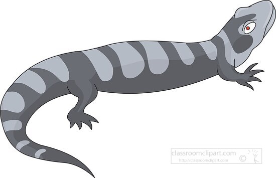 amphibian_salamander.eps - Classroom Clip Art
