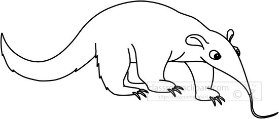 Animal Outline Clipart-anteater black white outline clipart