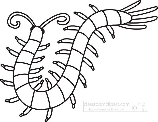 arthropod millipede black white outline cliprt - Classroom Clip Art
