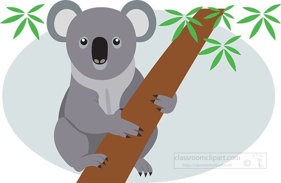 australian koala on tree clipart - Classroom Clip Art