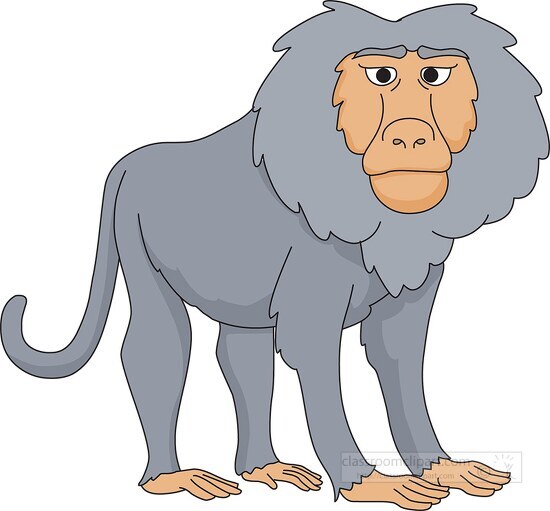 baboon.eps - Classroom Clip Art