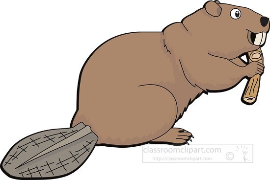 Free beaver chewing on stick clipart - Classroom Clipart