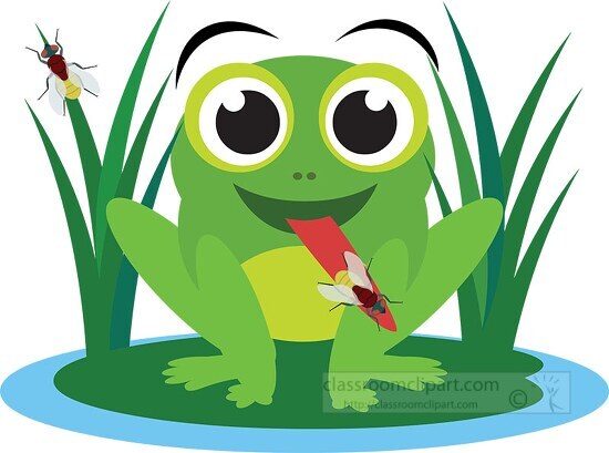 big eyed cute frog sittng on leaf eating insect - Classroom Clip Art