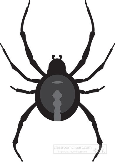 black widow spider insect gray clipart 818 - Classroom Clipart