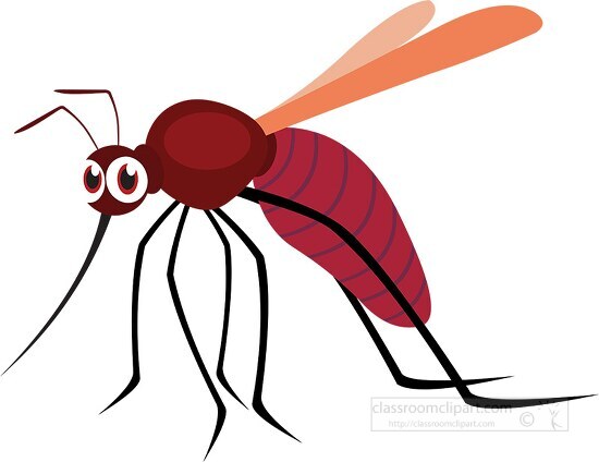 blood sucking mosquito insect clipart 718 - Classroom Clip Art