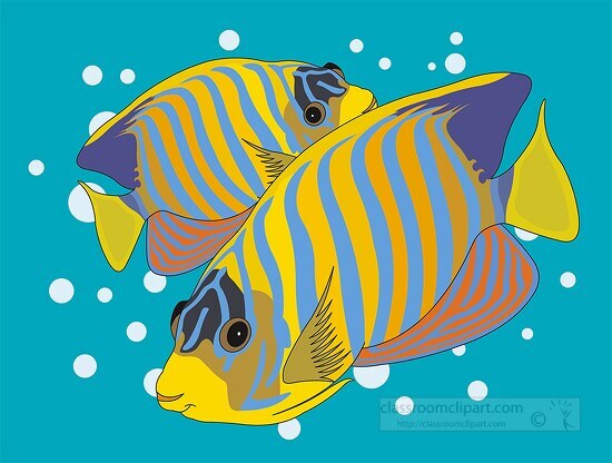 Free brightly colored fish 25 - Classroom Clipart