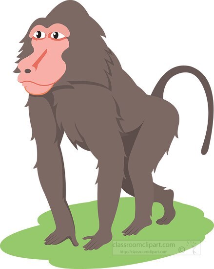 brown baboon clipart - Classroom Clip Art