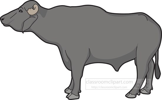 buffalo male sideview clipart - Classroom Clip Art