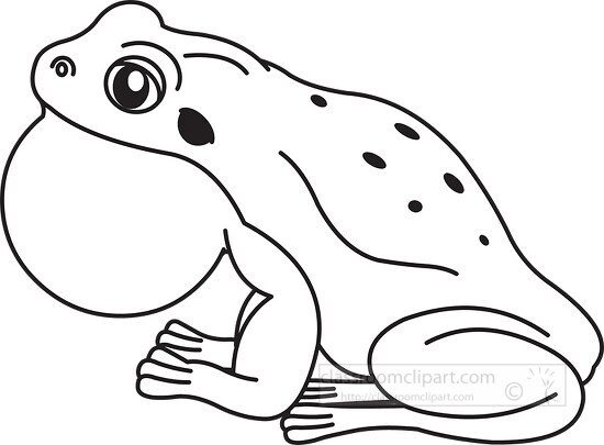 bull frog vector black outline clipart - Classroom Clip Art