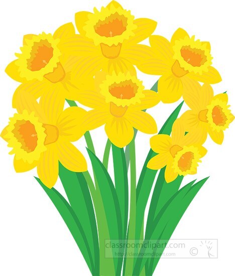 Free bunch of yellow daffodil spring flower clipart - Classroom Clipart