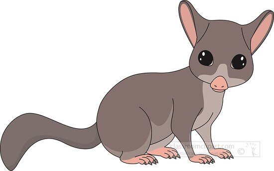 bushtail_possum.eps - Classroom Clip Art