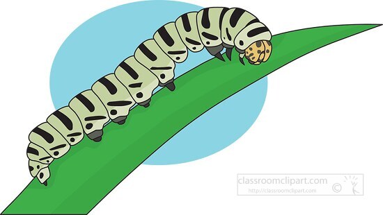 caterpillar on leaf clipart - Classroom Clip Art