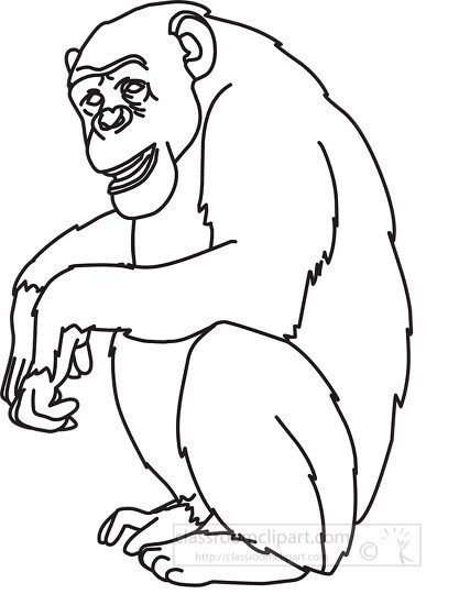 Animal Outline Clipart-chimpanzee sitting 04 outline cliprt