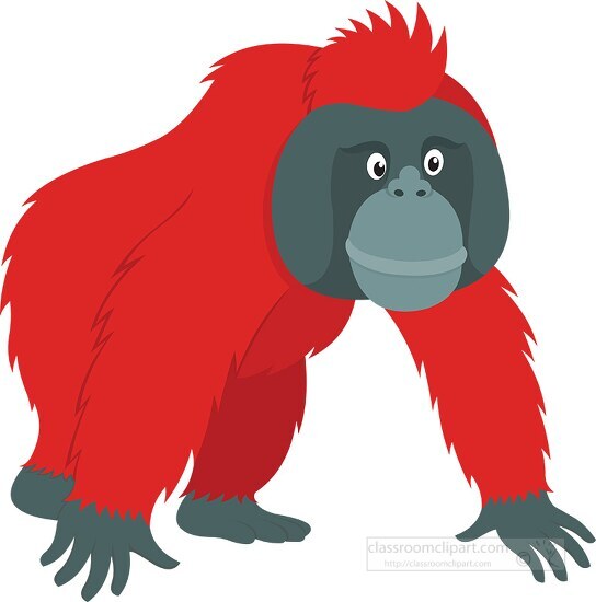 clipart rainforest orangutan in borneo clipart - Classroom Clip Art