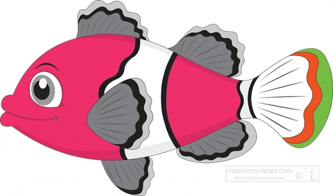 clown fish marine life sea animal gray color - Classroom Clip Art