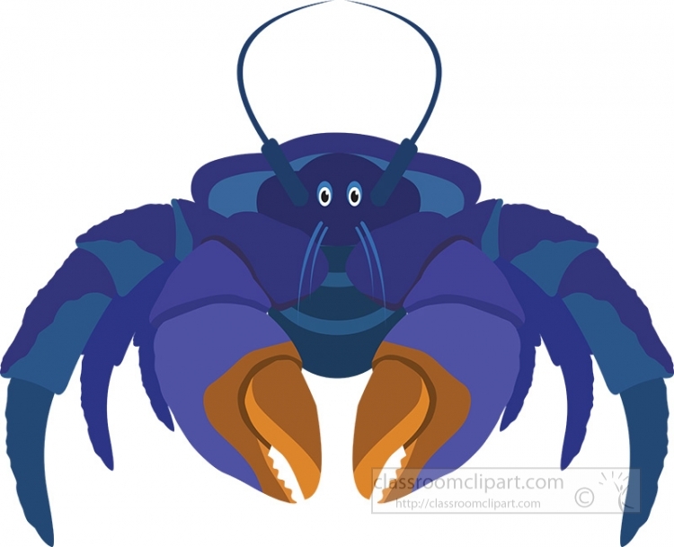 coconut crab marine animal clipart 818 - Classroom Clipart