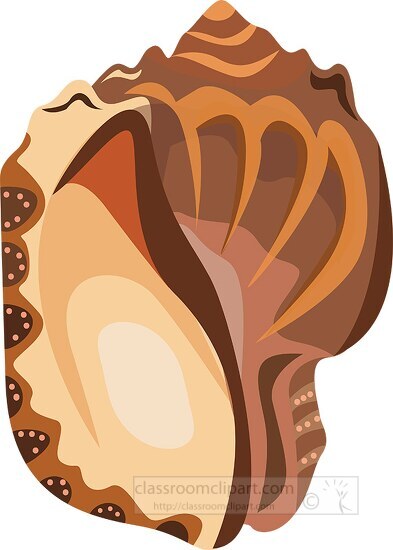 conch shell clipart 4523 - Classroom Clip Art