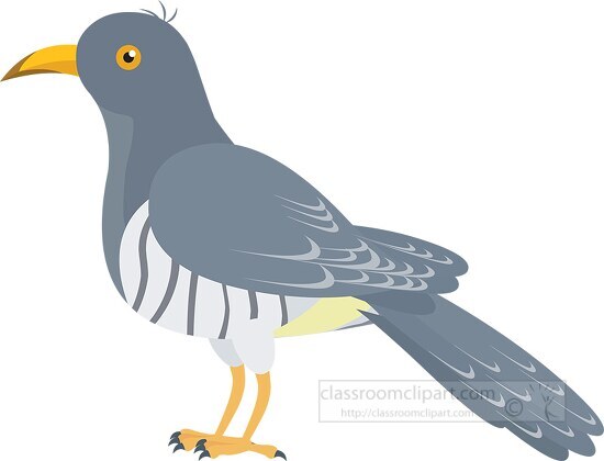 coocoo_bird_clipart - Classroom Clip Art