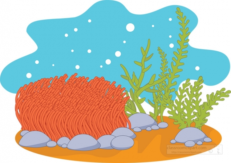 coral reef - Classroom Clip Art
