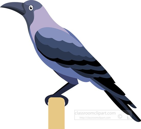 crow-bird-clipart - Classroom Clip Art
