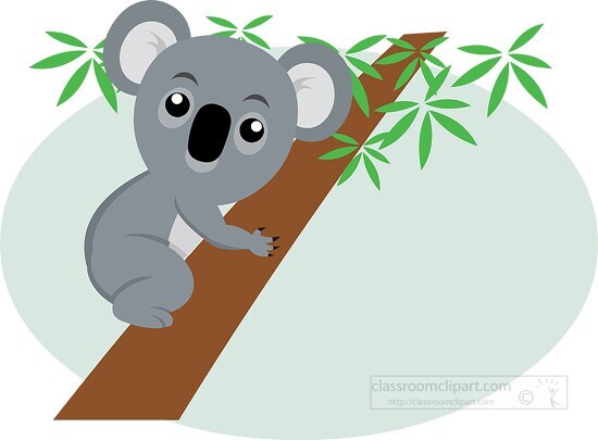 cute koala hanging on tree branch clipart - Classroom Clip Art