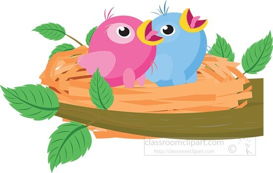 cute little blue pink birds in nest clipart - Classroom Clip Art